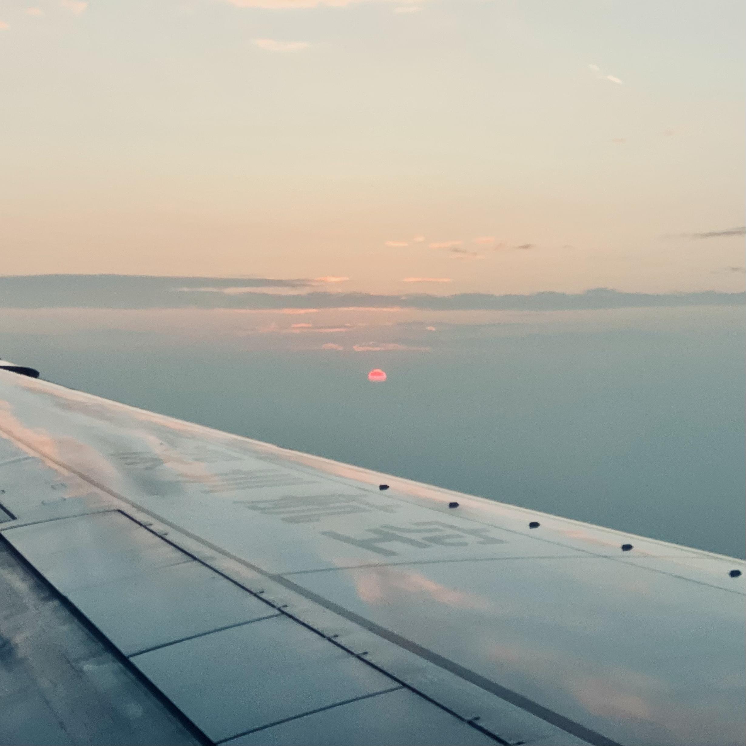 知识反应瓶 - wasteflask